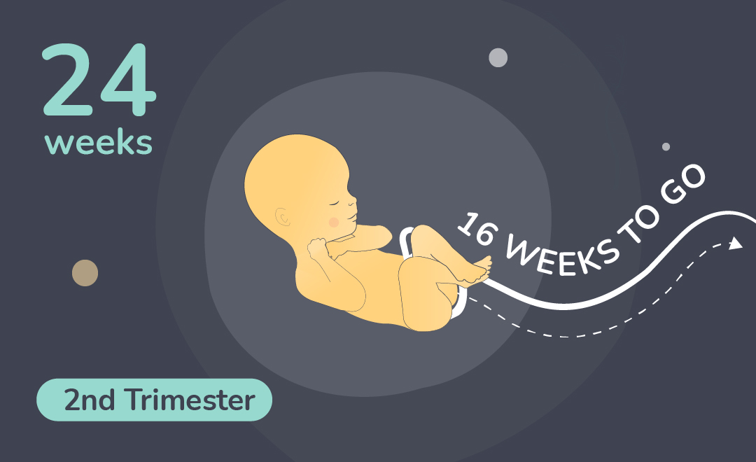 24 Weeks Pregnant: Garbh Sanskar, Symptoms and Tips