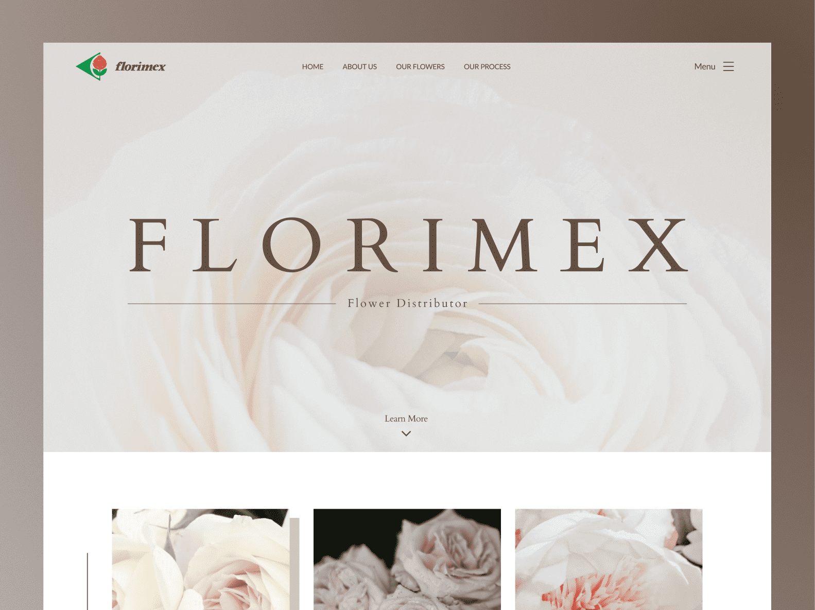 Florimex – Project | Brand Vision Marketing