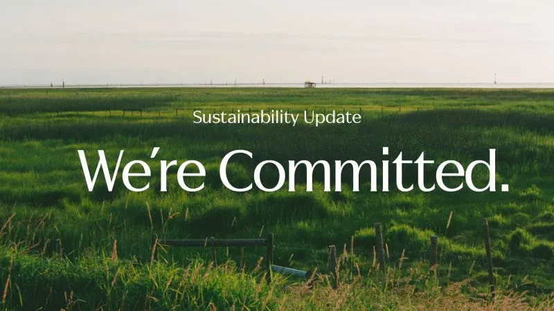 The Marketing Strategy Behind Aritizia's Success With Gen-Z | Brand Vision