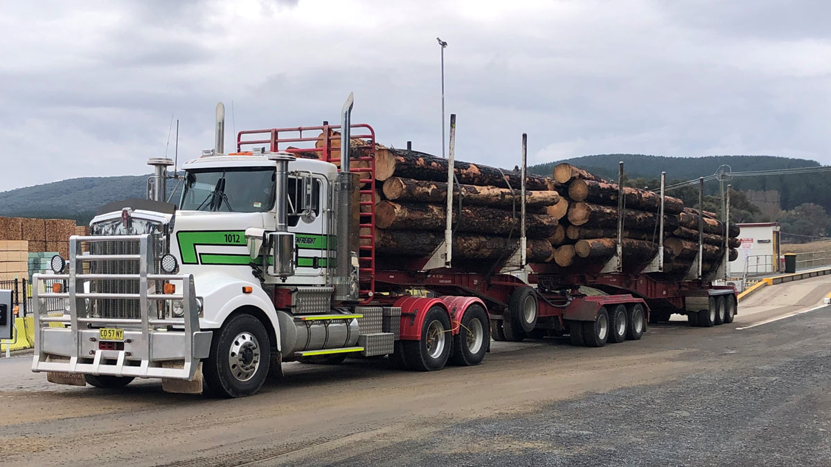 General | Twice Around the World - Hyne Timber’s Processed Burnt Log ...