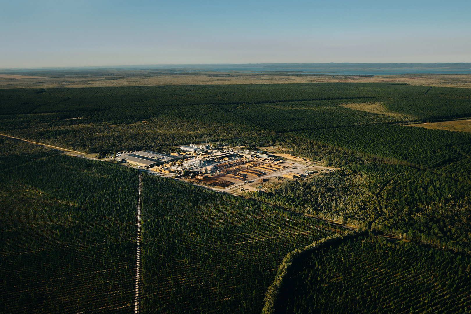 Hyne Group Seals Partnership with UK-based James Jones & Sons | Hyne Timber