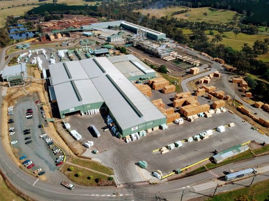 Hyne Timber’s Solution Towards Bushfire Recovery | Hyne Timber