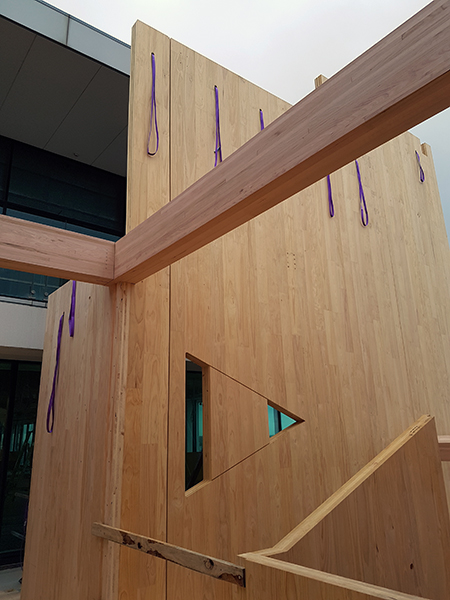 CLT and GLT: A perfect combination | Hyne Timber