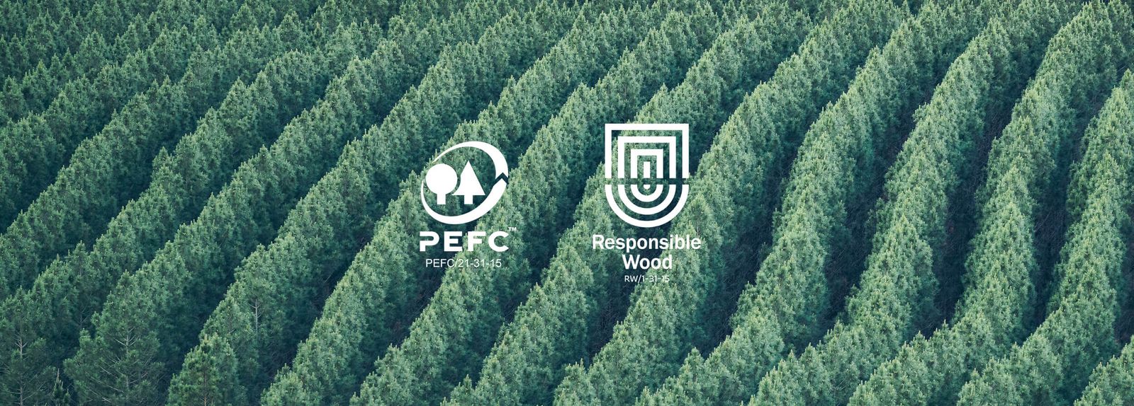 Chain of Custody certification | Hyne Timber