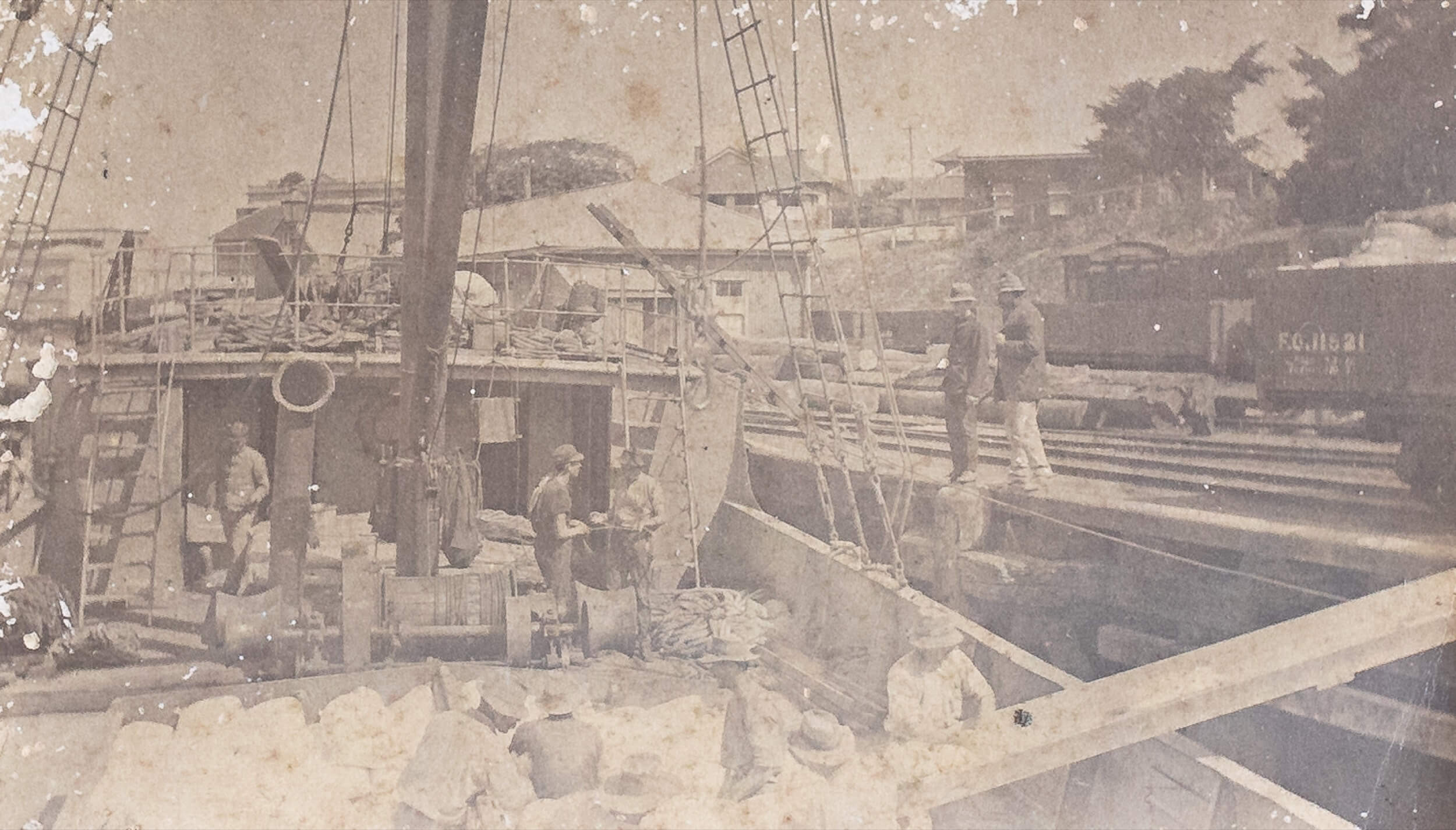 Our History | 1882-1913 | Hyne Timber