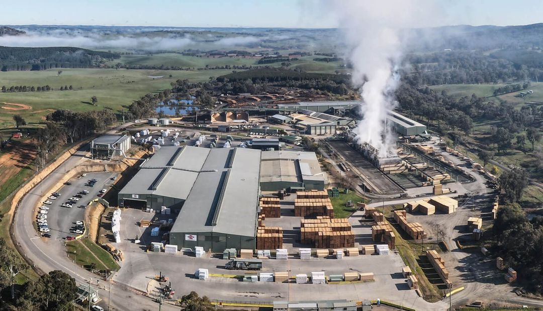 Our History | Hyne Timber