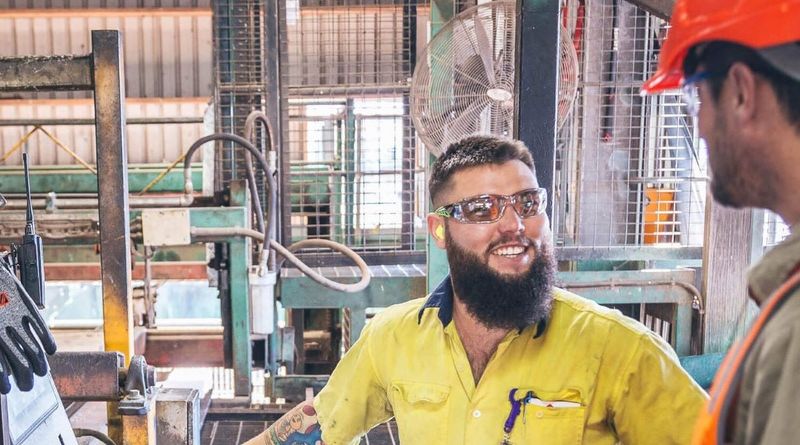 Our History | Hyne Timber