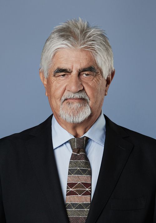 Frank Borrello | consultant