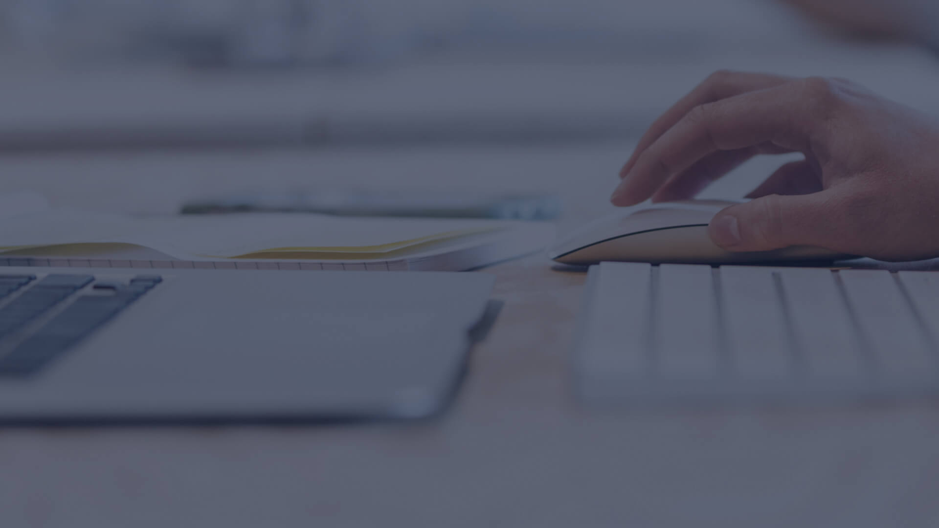 Thomson Geer | Capabilities