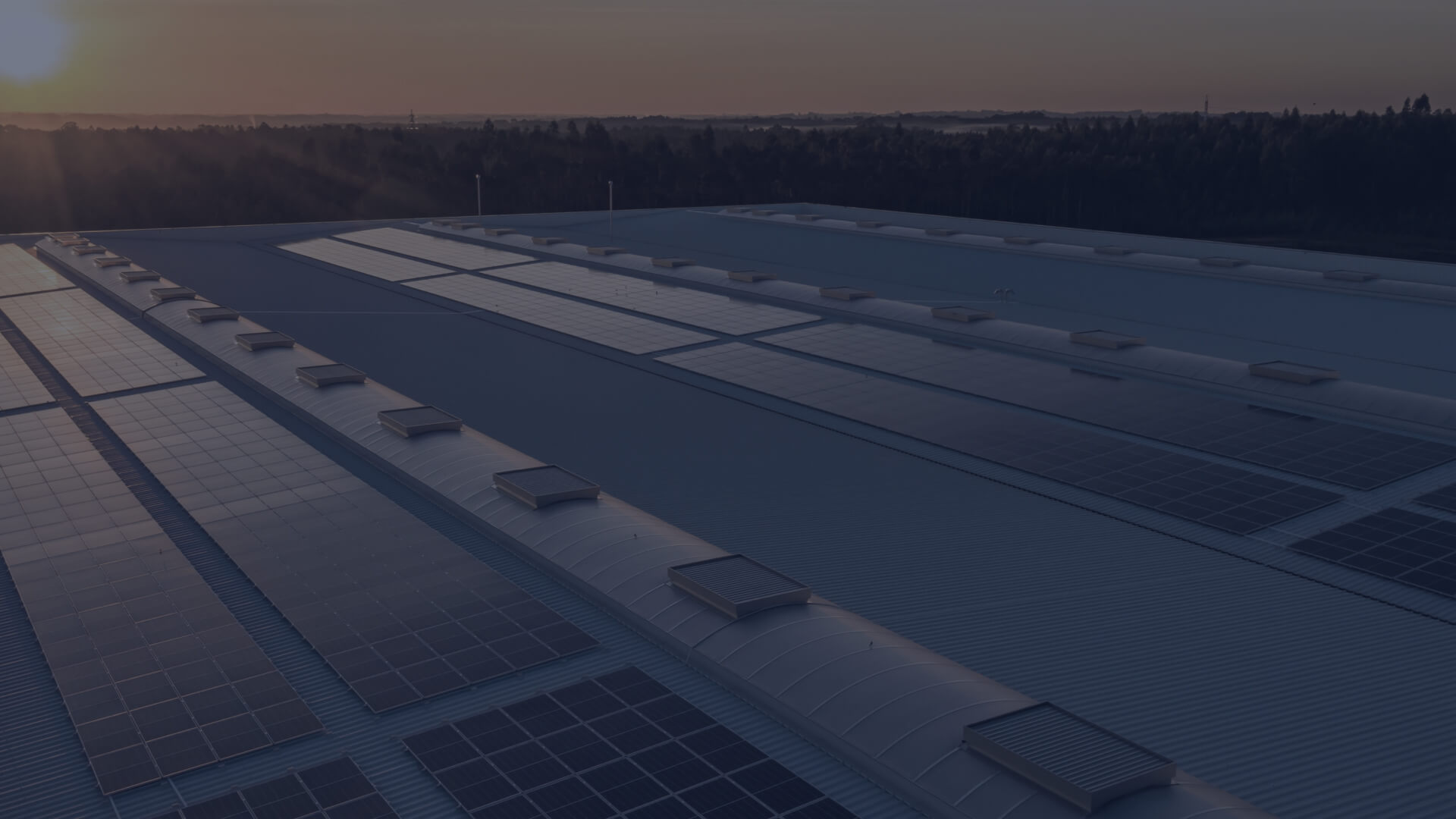 Thomson Geer | Capabilities