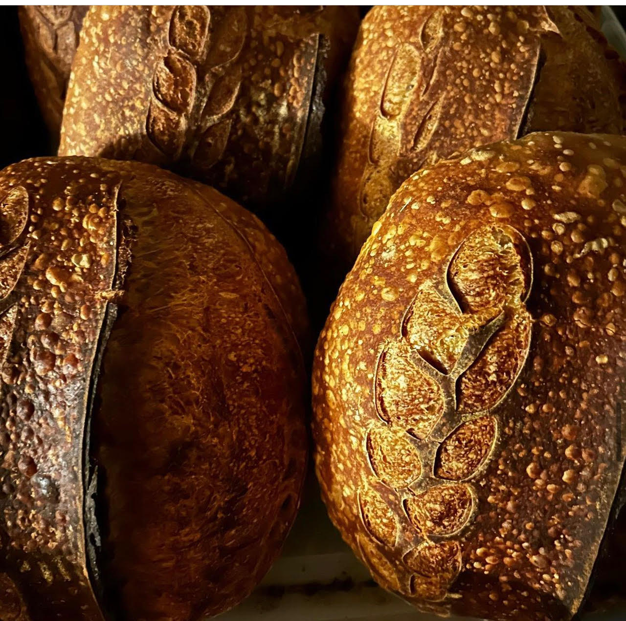 All You Knead: The Simplicity of Bread