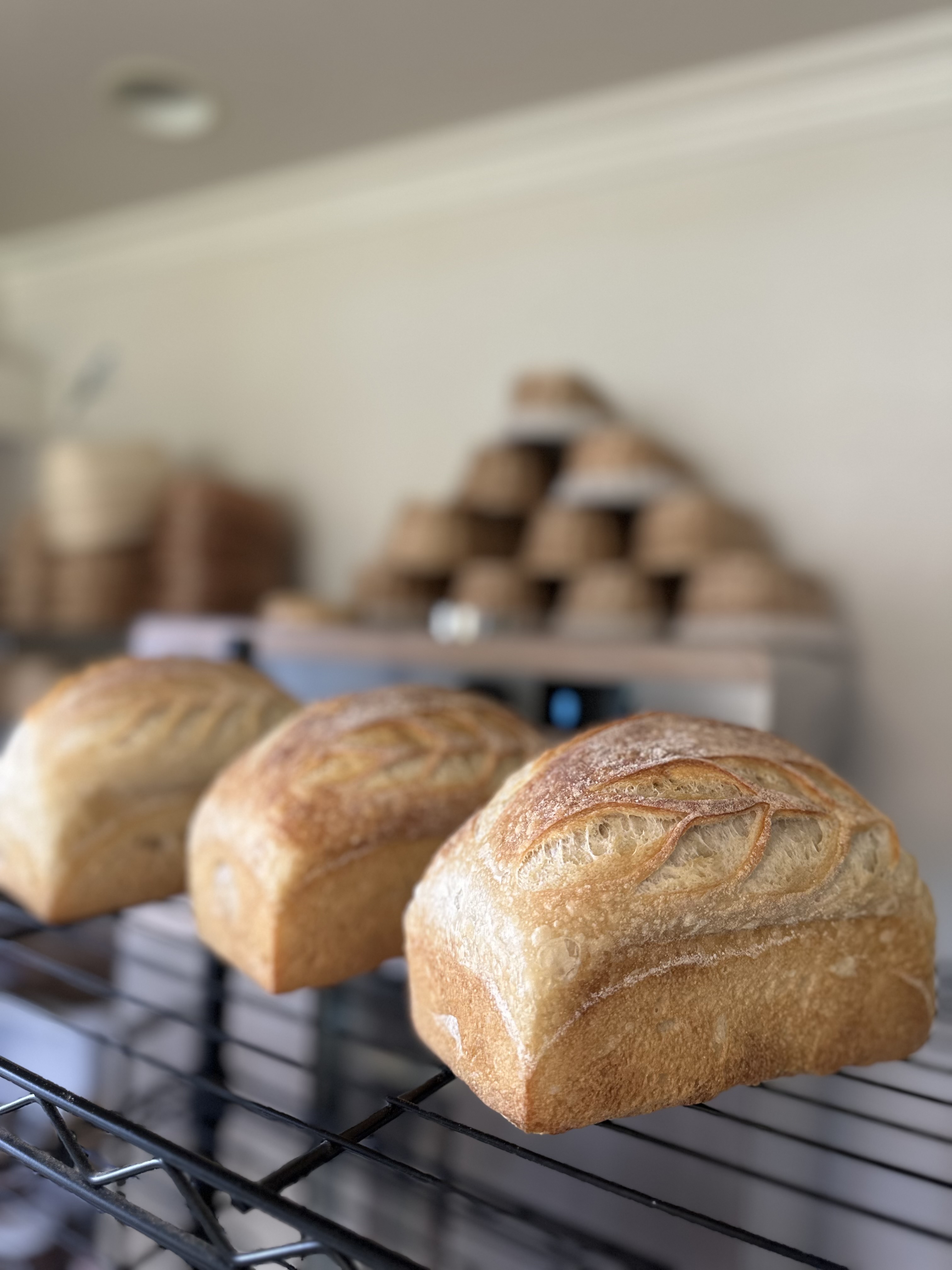 Heirloom Bread Co.: Baking The Best Of A Bad Situation