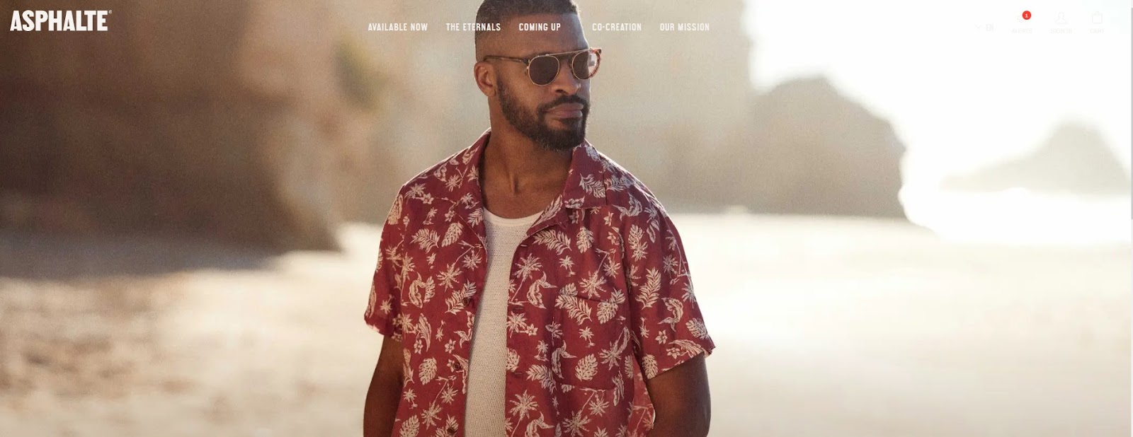 30+ Best Shopify Stores in 2024 (Revenue + Industries)