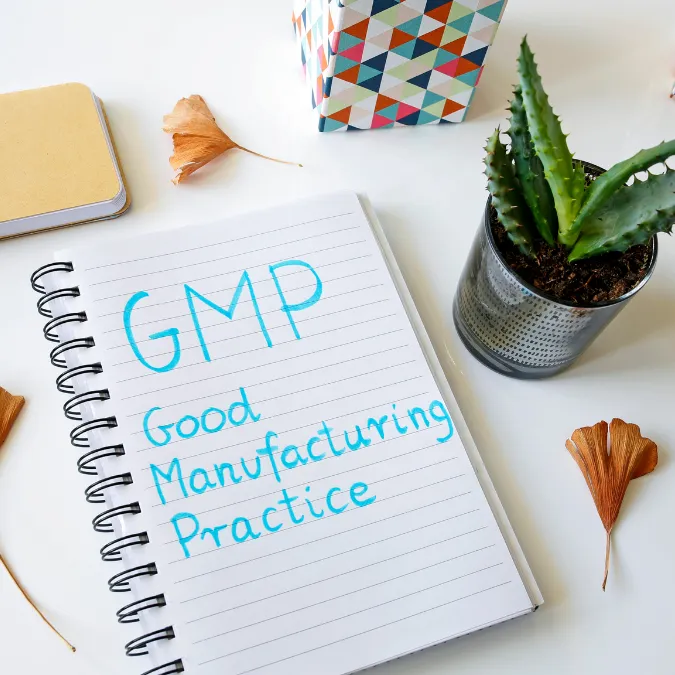 What is GMP in the pharmaceutical industry? | Ecobliss Pharma