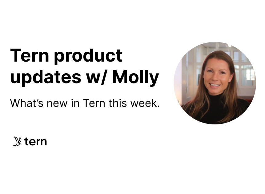 Tern - Supercharge your travel business