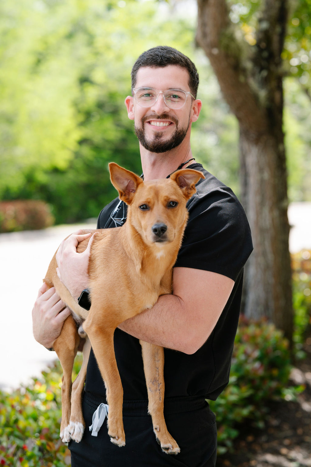 About Us | Suncoast Dental Center