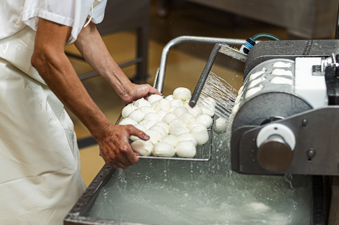 Vannella Cheese | Products