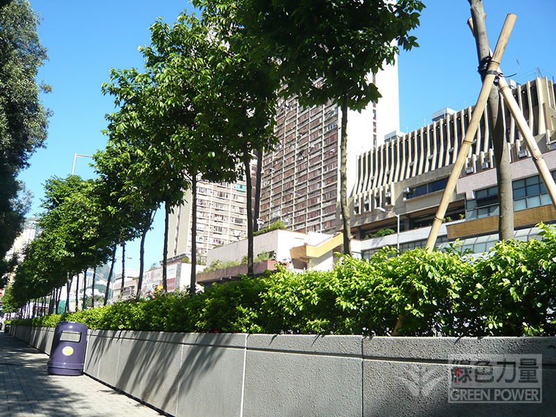 Urban Greening Programme