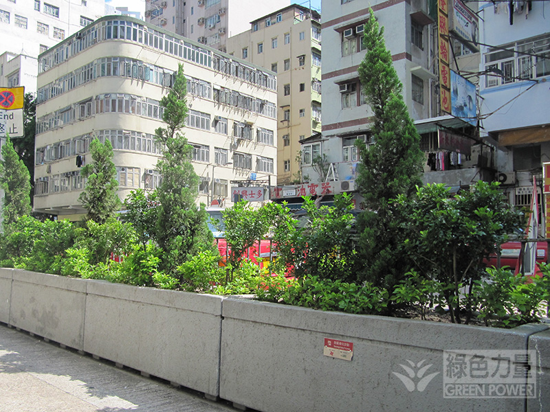 Urban Greening Programme