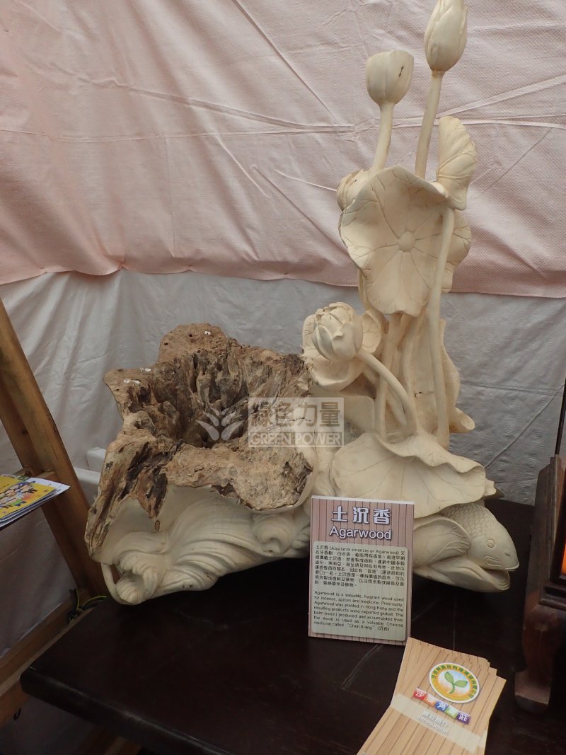 Amazing Nature | Plants – The Naming of a Place