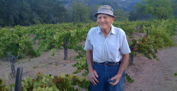 Alfred Frediani Vineyard - Relic Wine Cellars