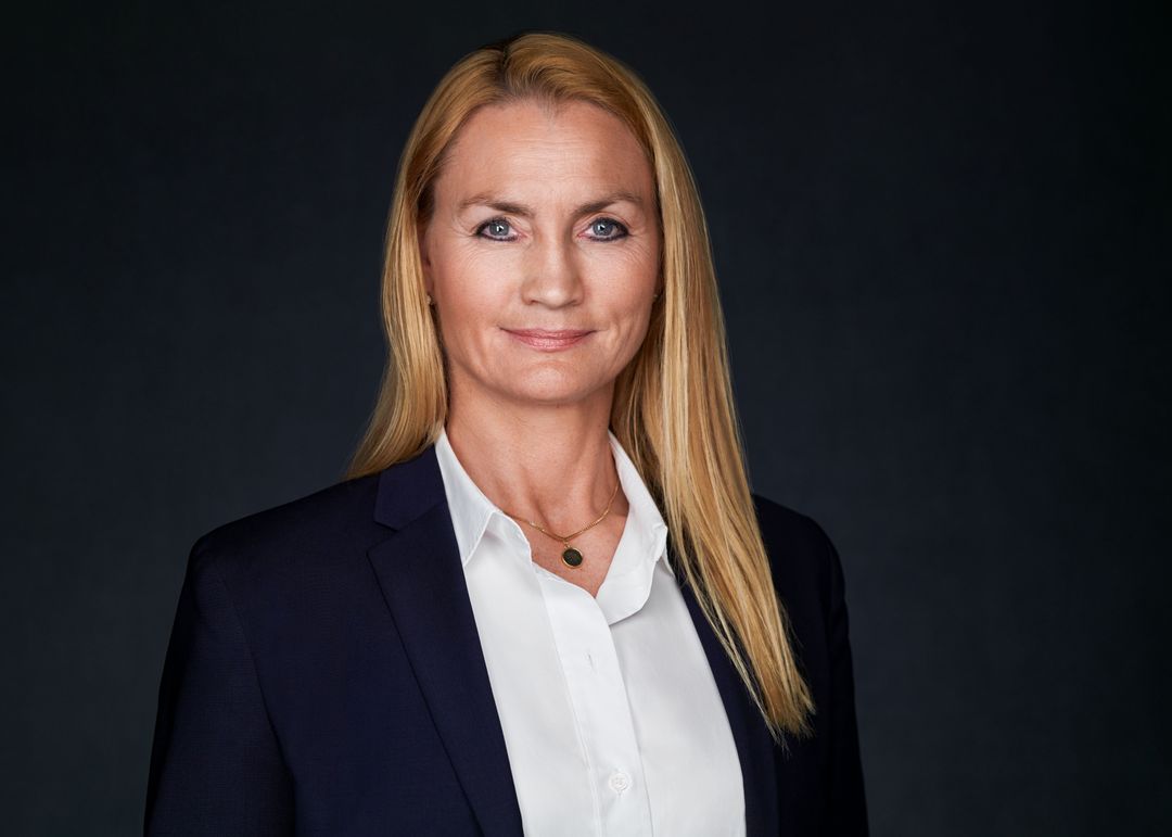 Integrated Wind Solutions | Company | Overview