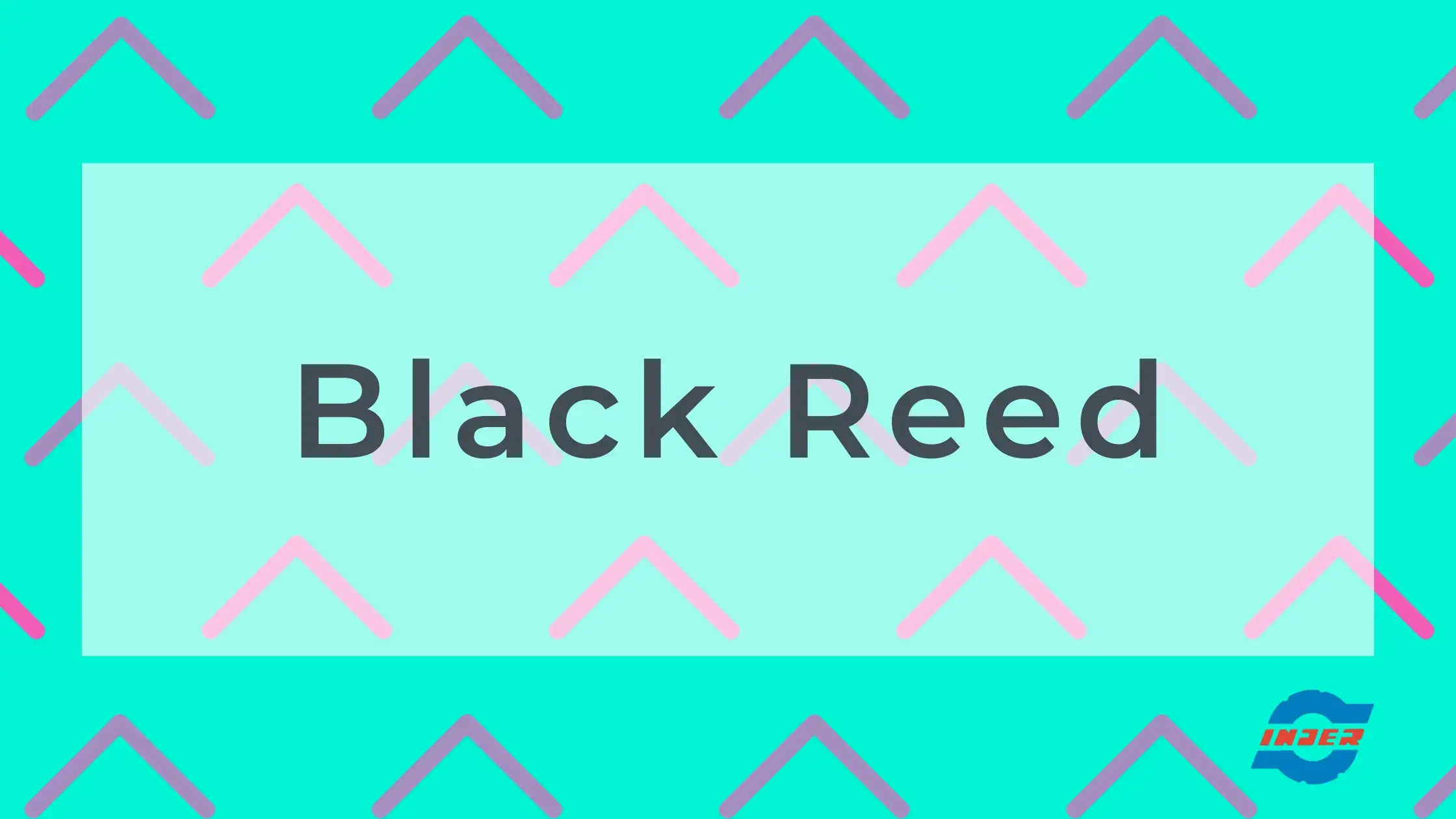 Black Reed (1975) Pinball Machine by Inder