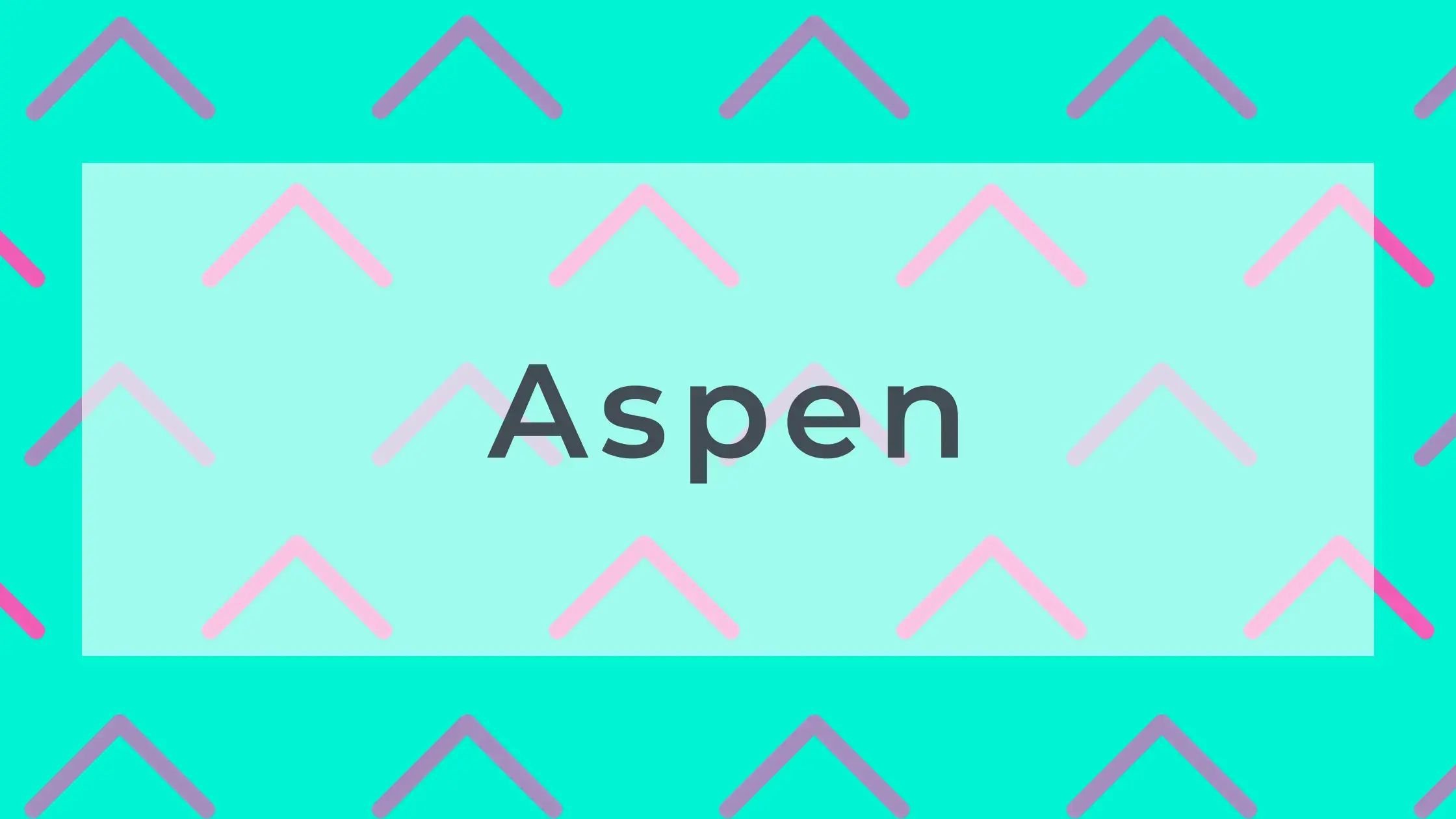 Aspen (1979) Pinball Machine by Brunswick Mfg. Co.