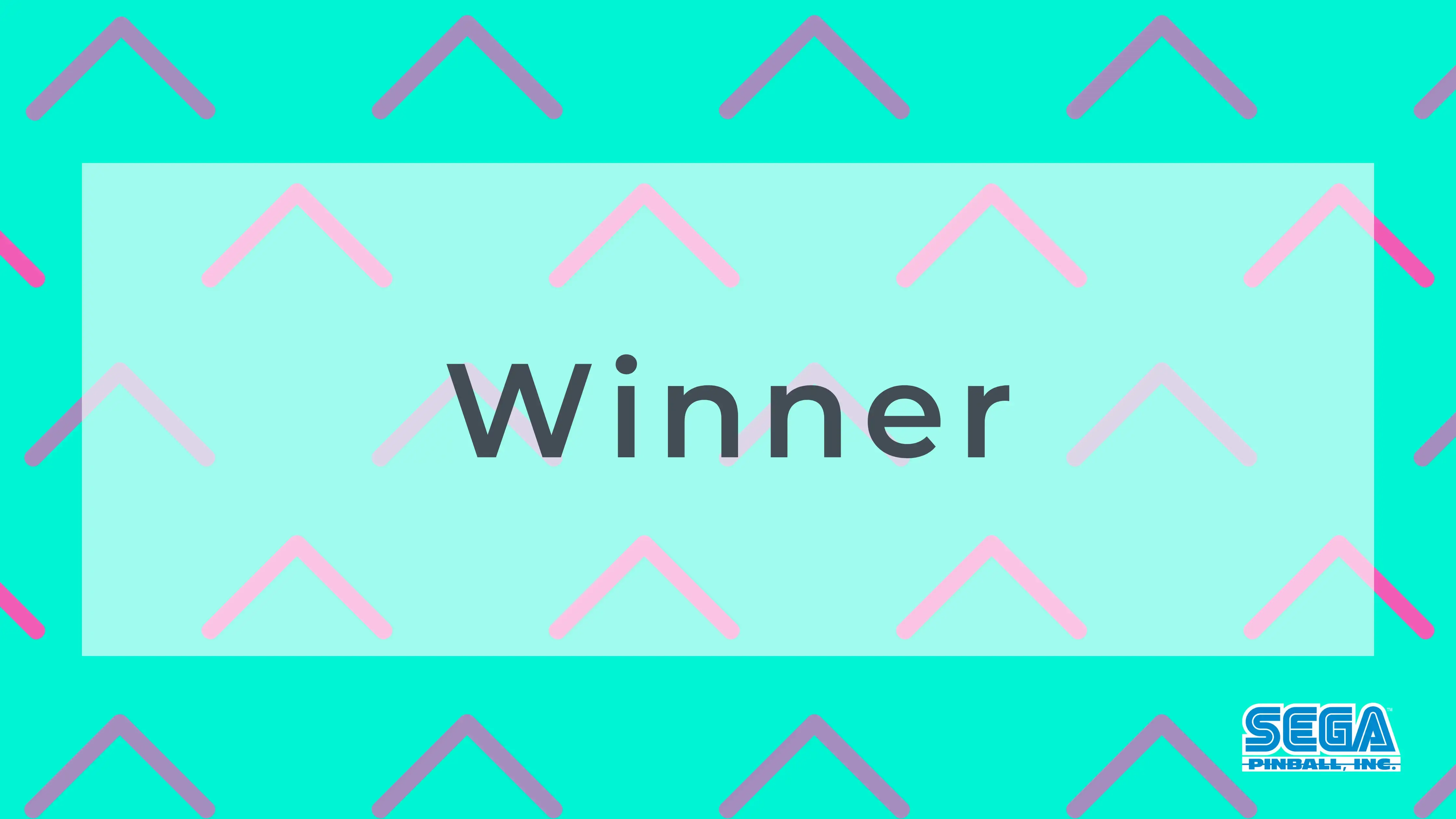 Winner (1971) Pinball Machine by Sega Pinball Inc. (US)