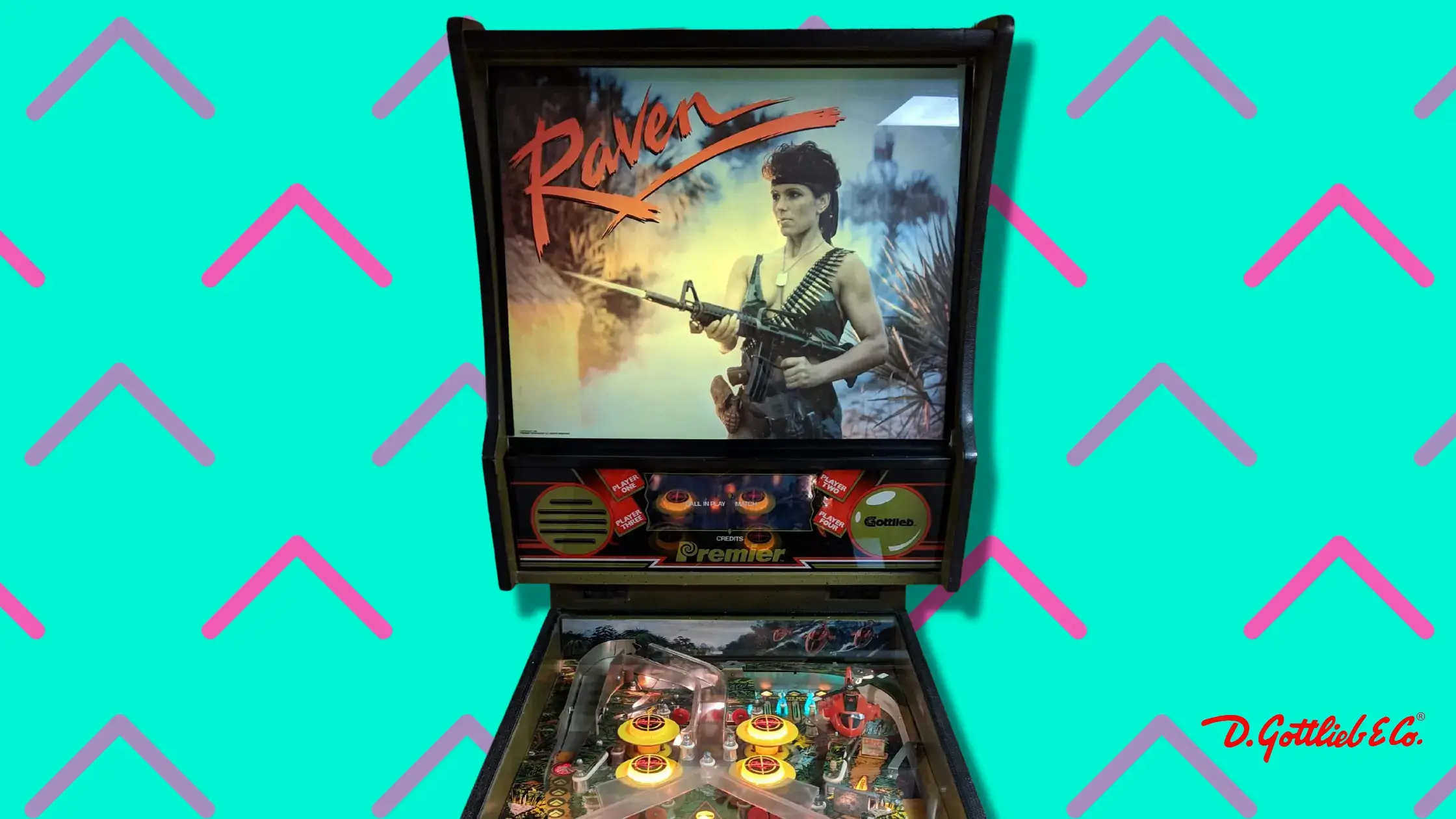 Raven (1986) Pinball Machine by D. Gottlieb & Co.