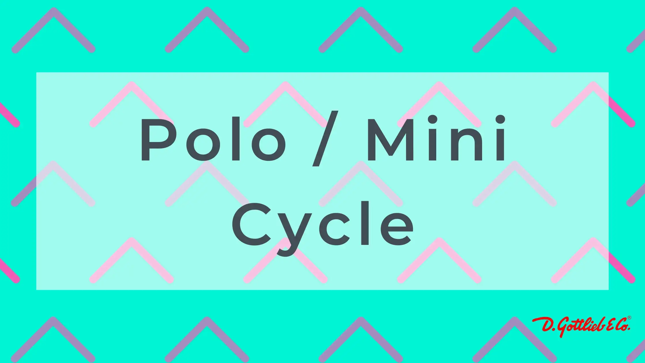 Polo / Mini Cycle (1970) Pinball Machine by D. Gottlieb & Co.