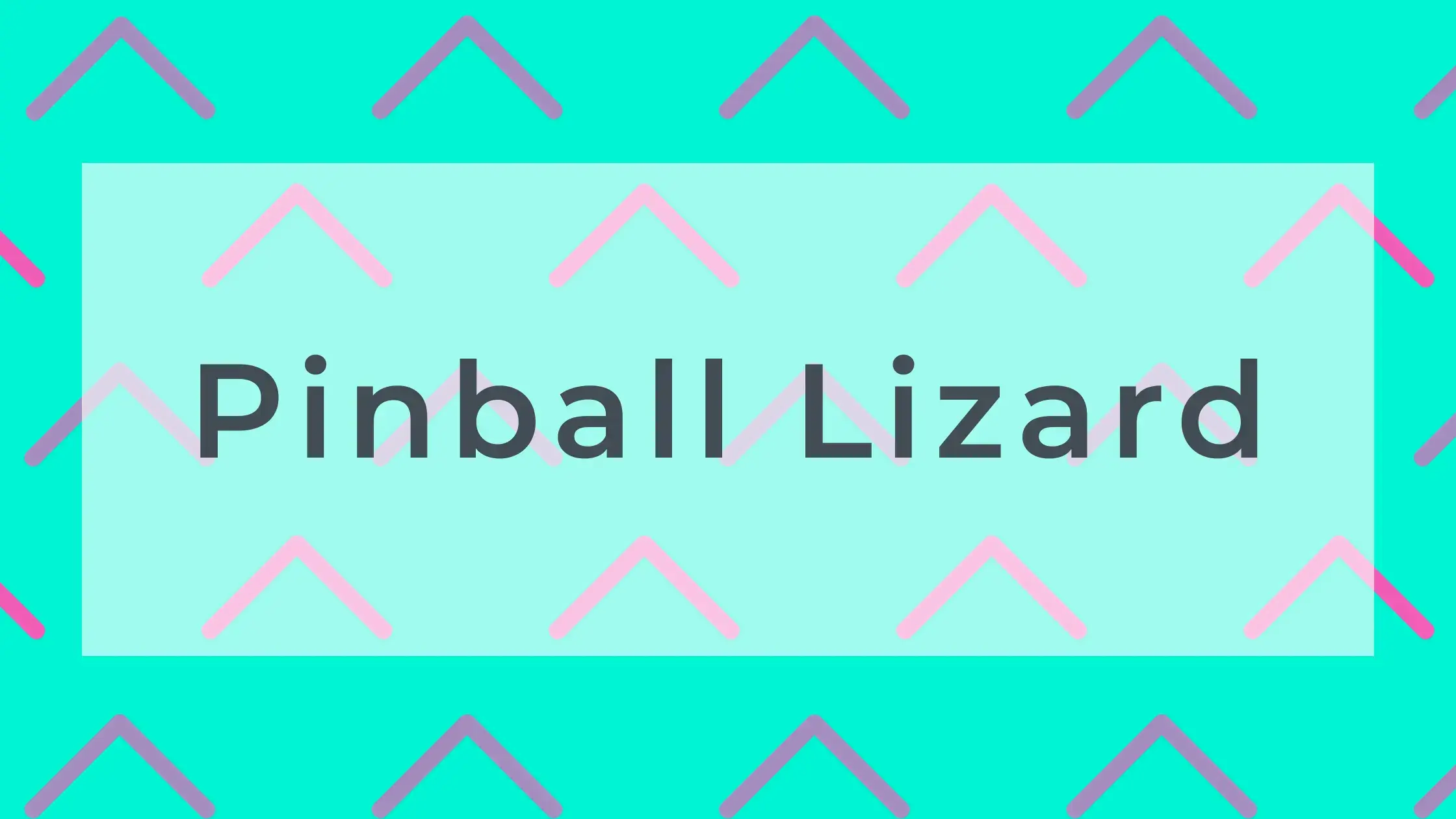 Pinball Lizard (1980) Pinball Machine by Game Plan Inc.
