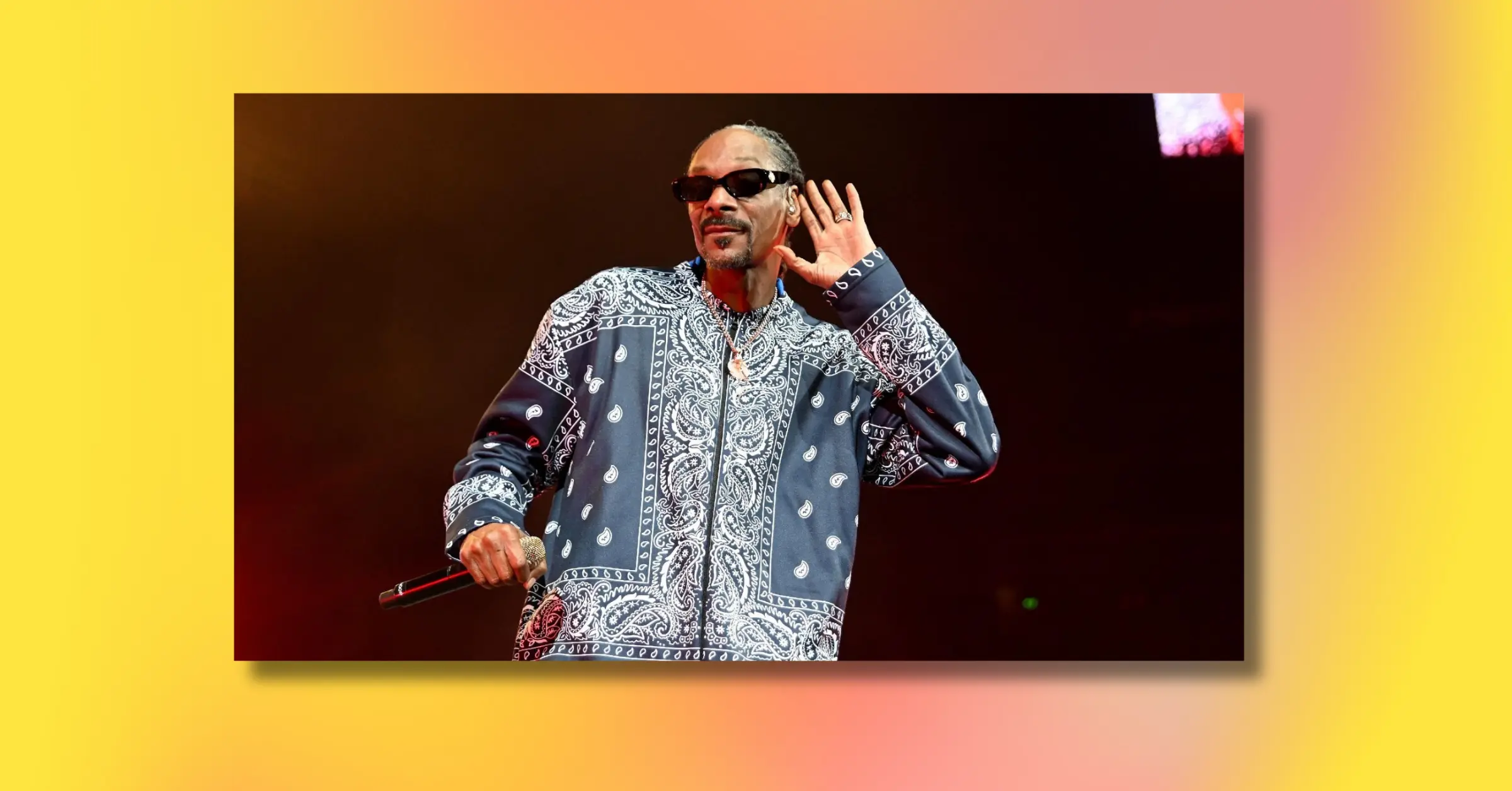 Snoop Dogg Pinball Machine | Pinball Hype Index | Kineticist