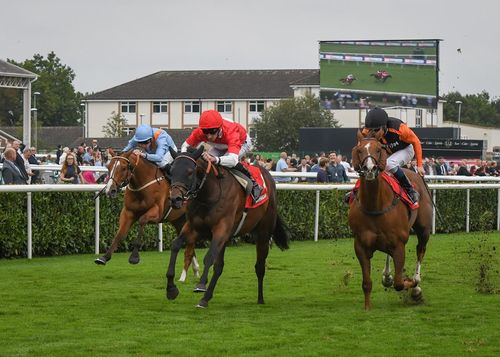 Rogue Lightning lands Listed prize | Tom Clover Racing