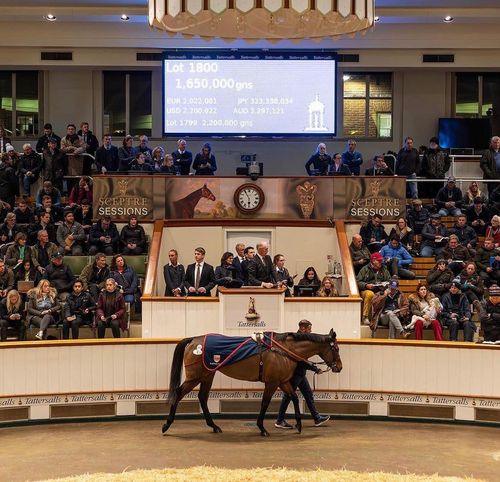 News | Tom Clover Racing