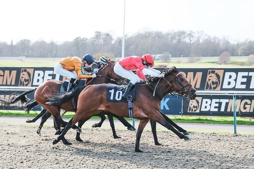 News | Tom Clover Racing