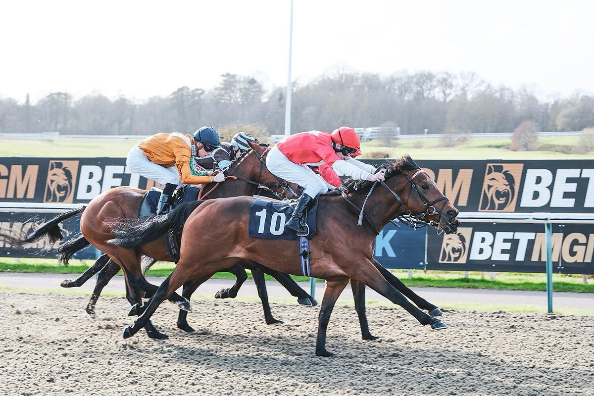 Photosynthesis scoops big prize | Tom Clover Racing