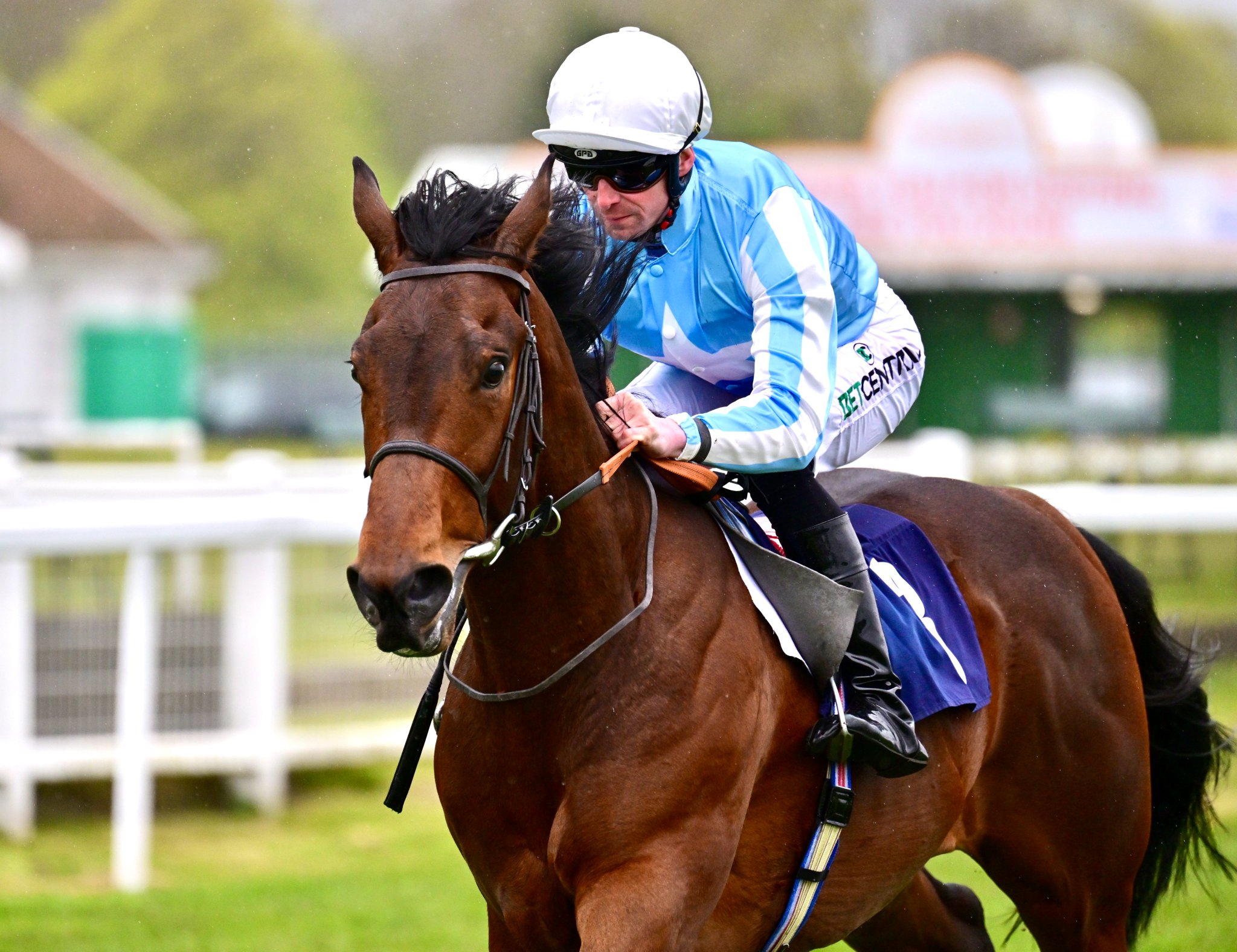 News | Tom Clover Racing