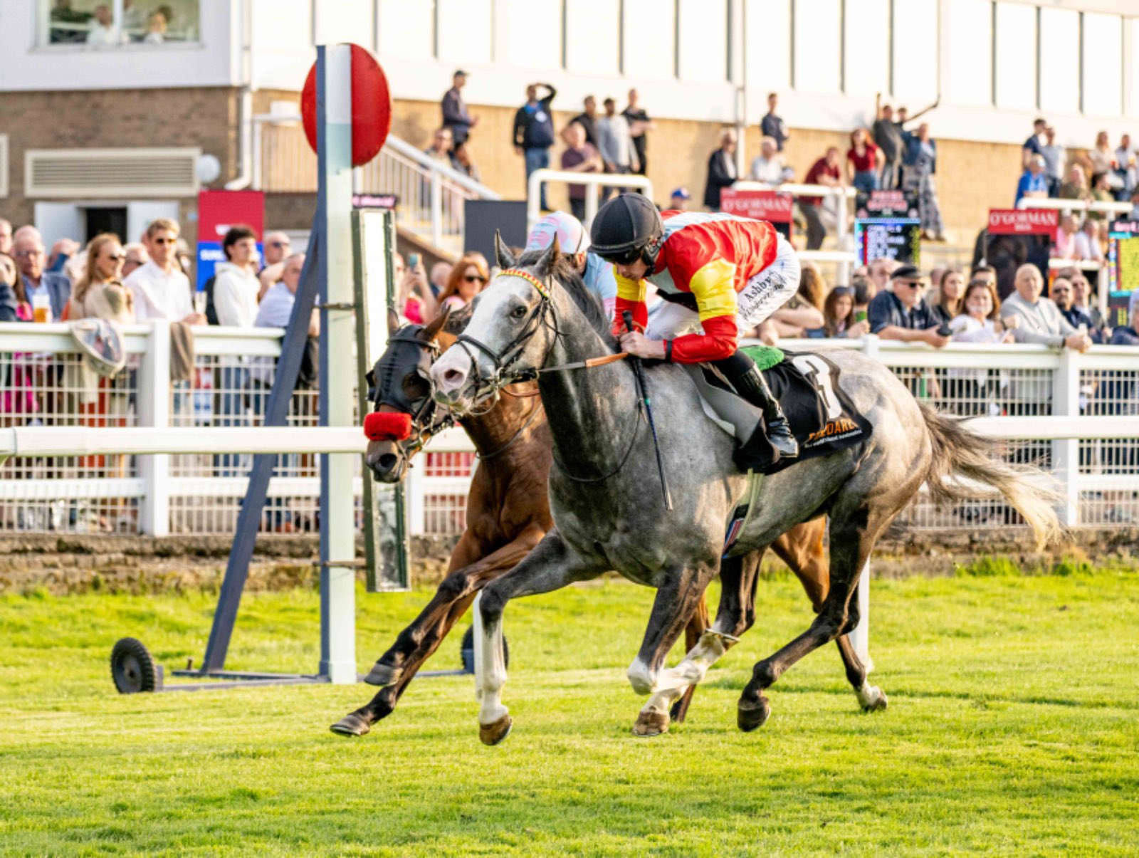 News | Tom Clover Racing