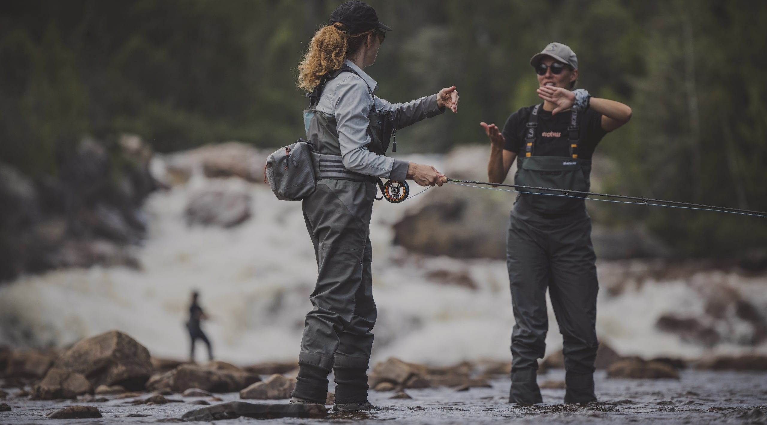 Les Chèvres de Montagne - À Propos