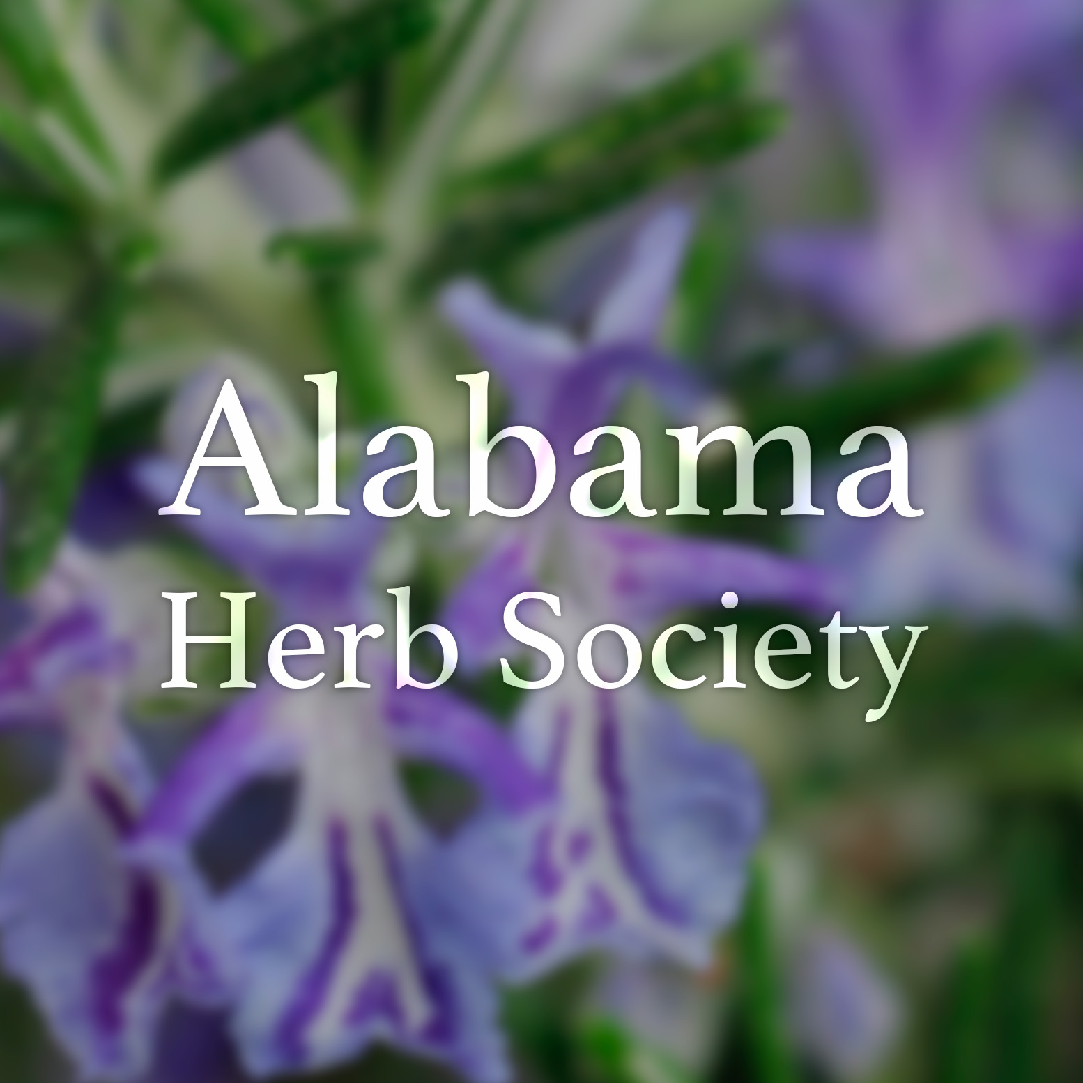 Herb Day | Jo Staley Dot Com