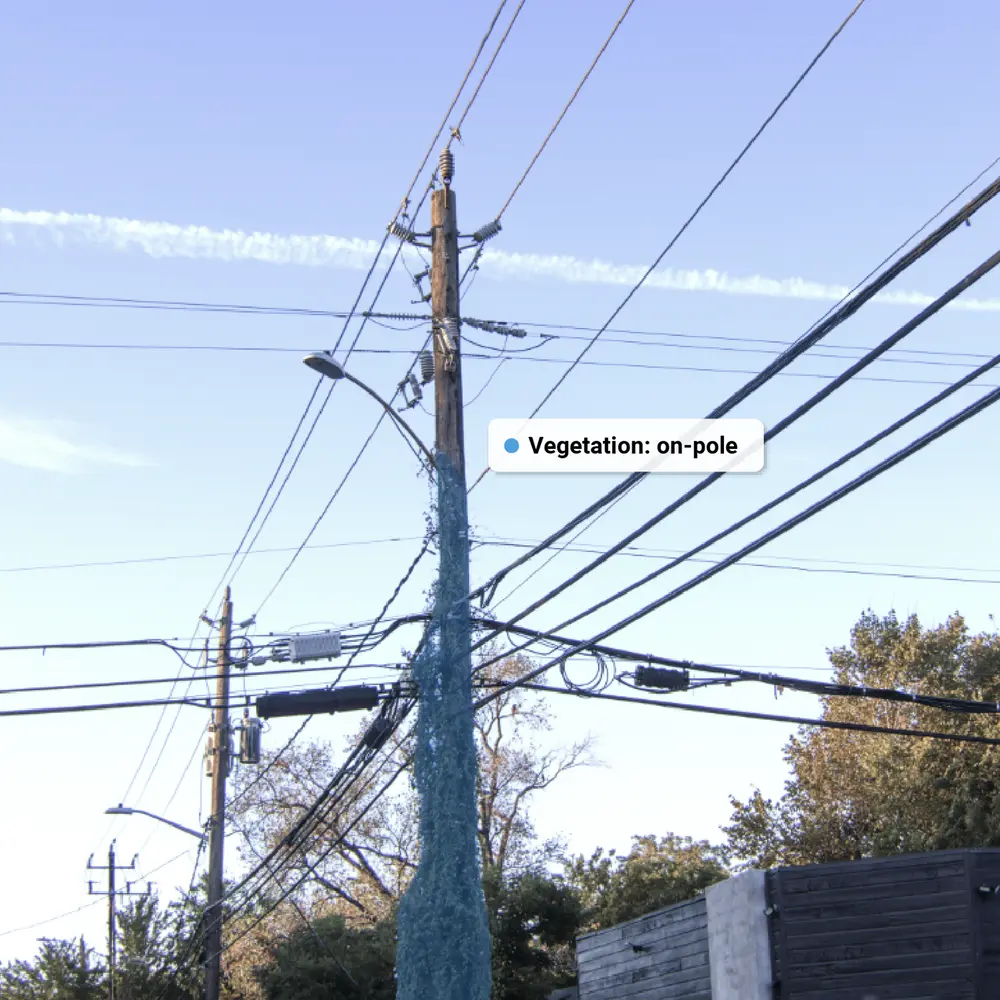 Vegetation overgrowth - Noteworthy AI