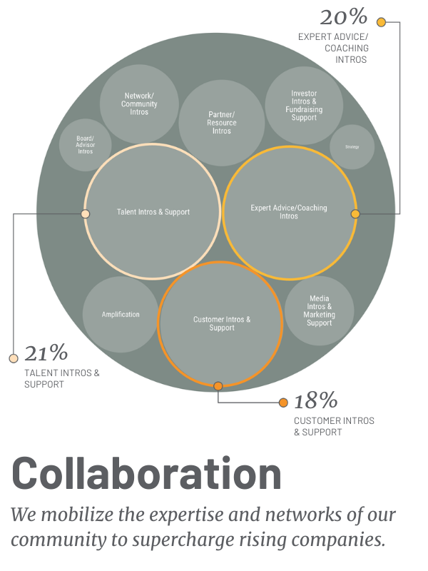 Collective Venture Model