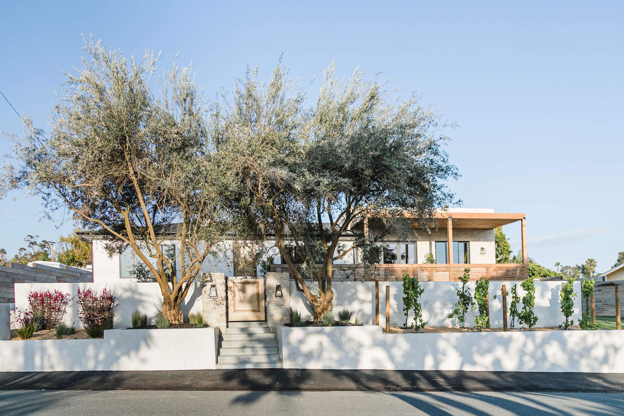Shirley Slee Design | Adams Project