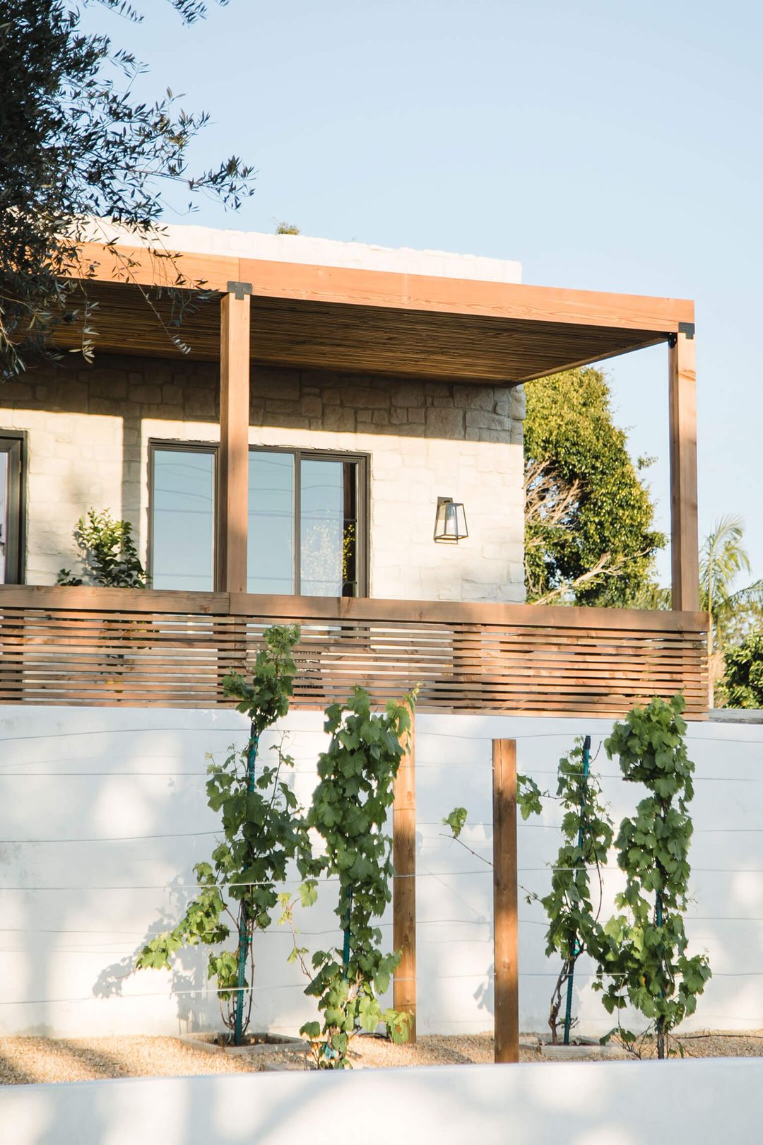 Shirley Slee Design | Adams Project