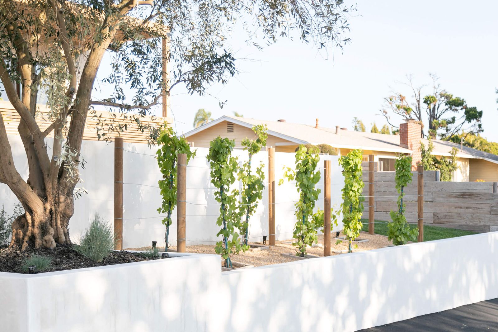 Shirley Slee Design | Adams Project