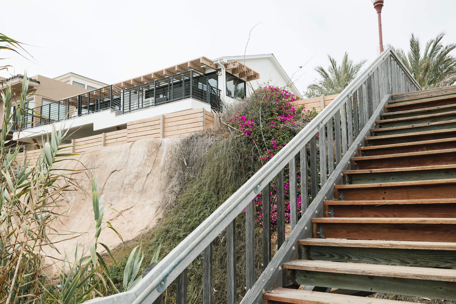 Shirley Slee Design | Pacific Project