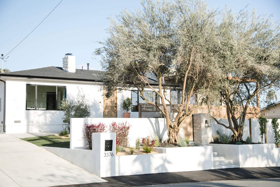 Shirley Slee Design | Adams Project