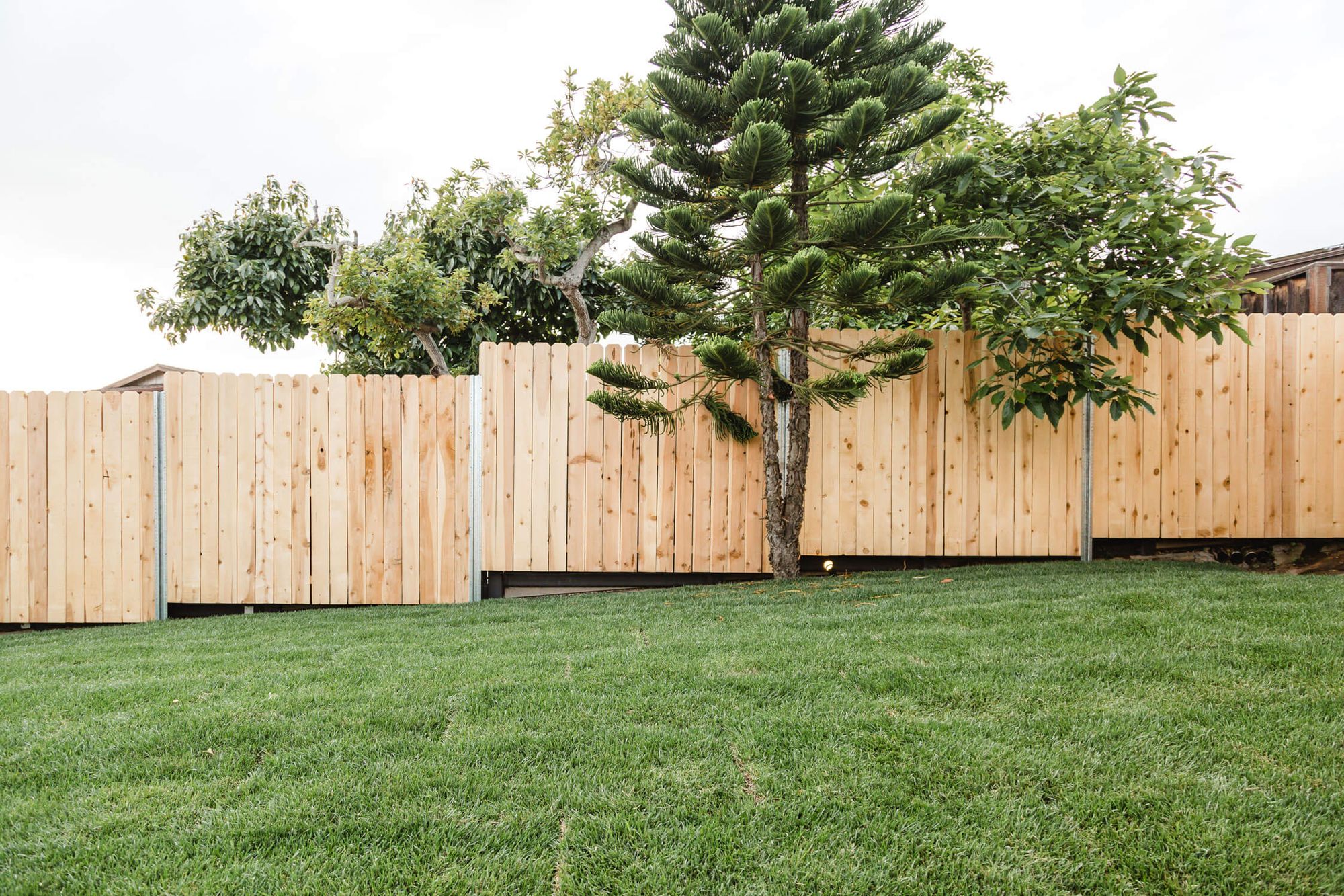 Shirley Slee Design | Spanish Way Project