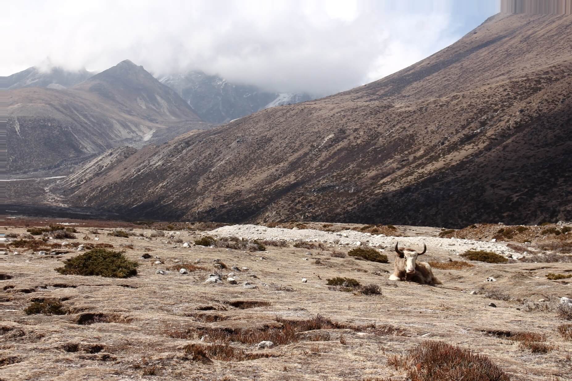 Cate Victoria | Truth seekers in sustainability